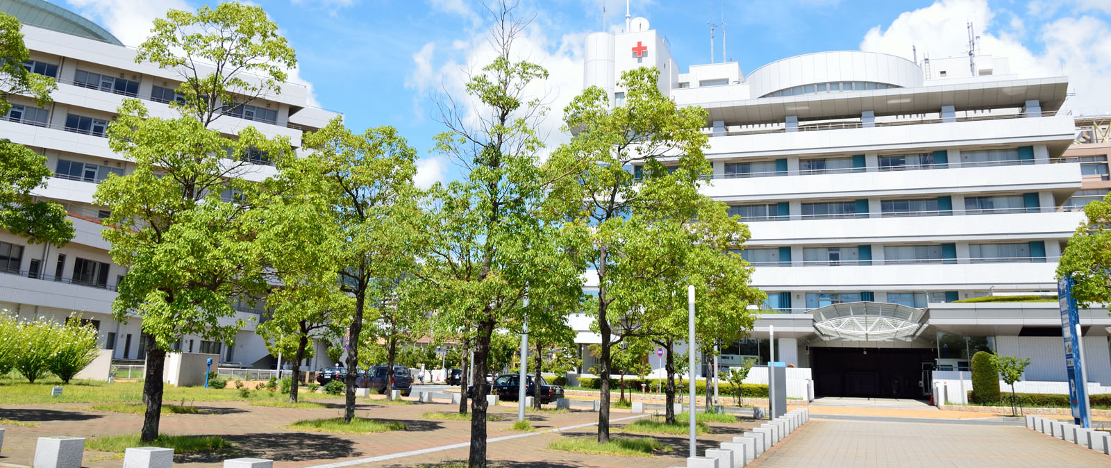 The Patient’s & Visitor’s Guide – Springbok Health Inc