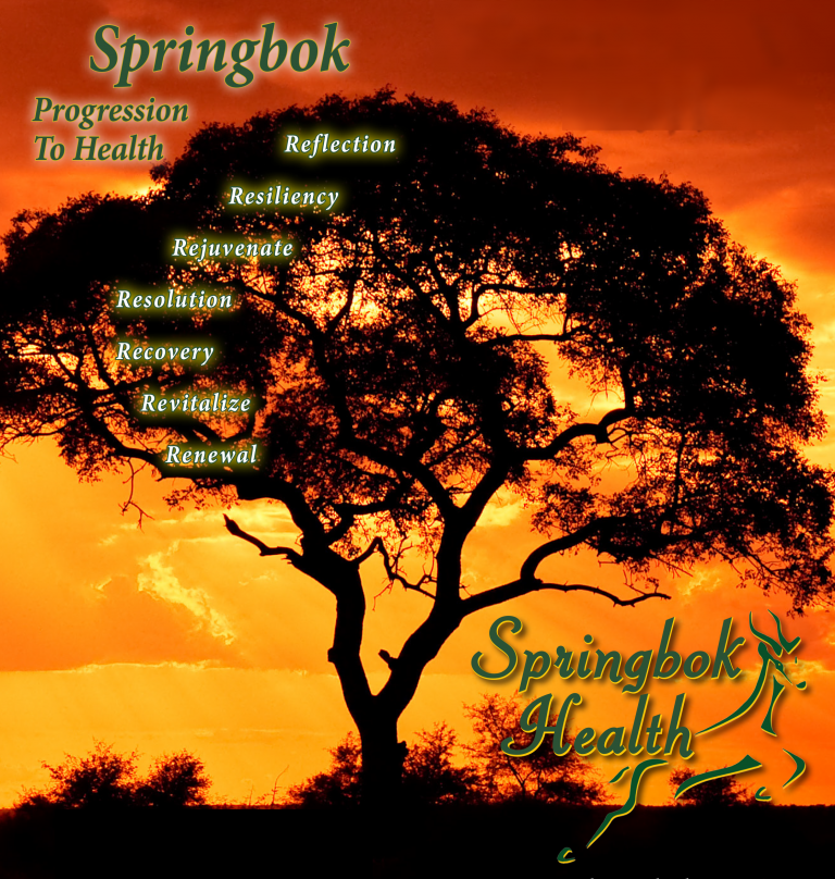 Springbok Health Inc – Behavioral Health Medication Management